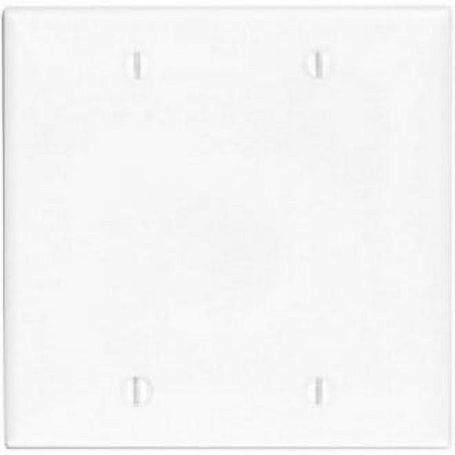 Leviton 80725-W White Nylon Two Gang Blank Wall Plate - Walmart.com