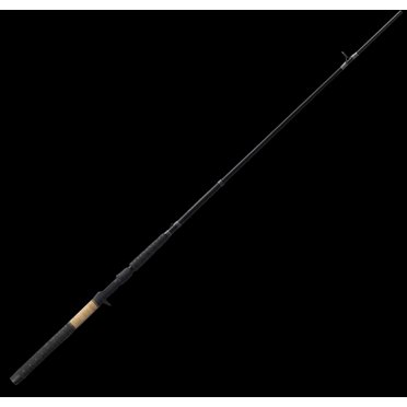 Lew's TP1X Speed Stick Spinning Fishing Rod, 6-Foot 6-Inch 2-Piece Rod ...
