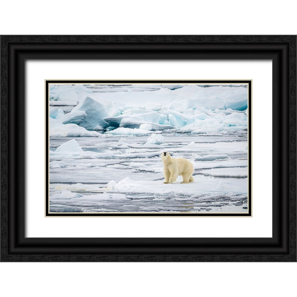 Lewis-Bevan, Wyn 18x13 Black Ornate Wood Framed with Double Matting ...