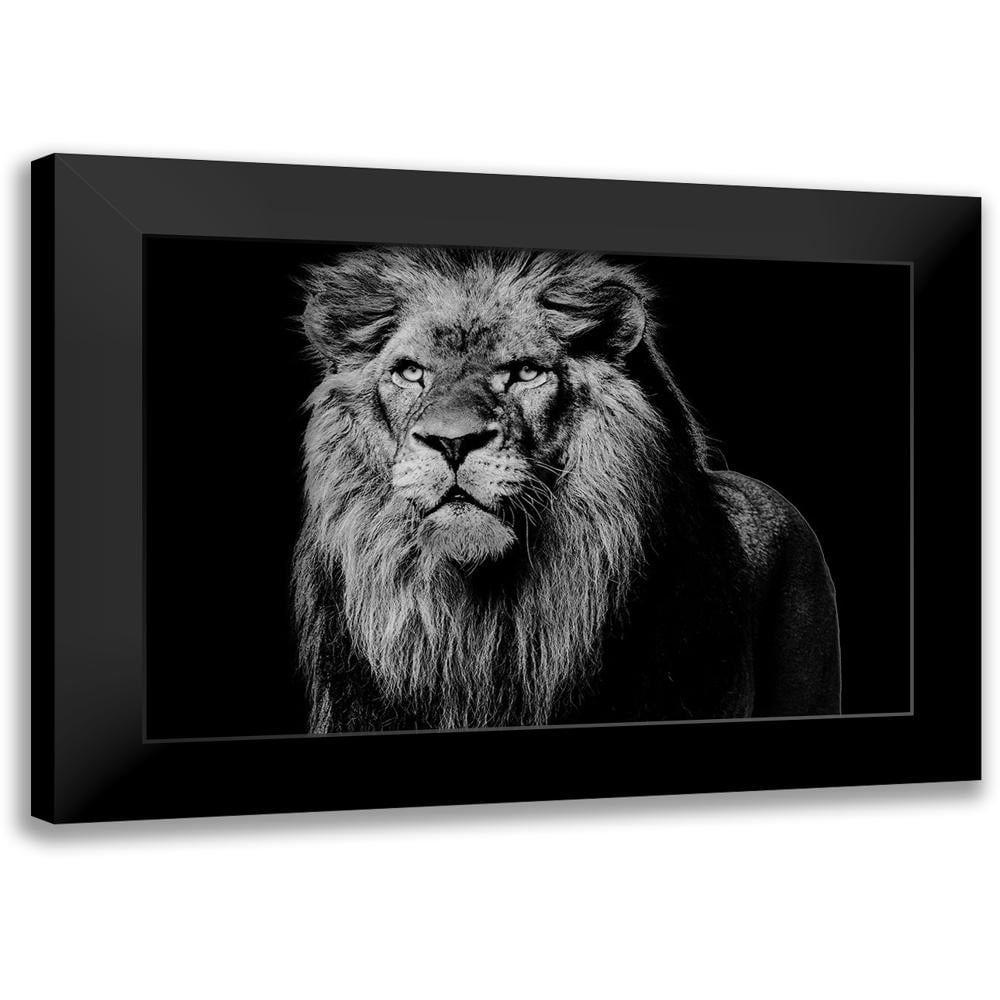Lewis, Sheldon 14x11 Black Modern Framed Museum Art Print Titled - Dark ...