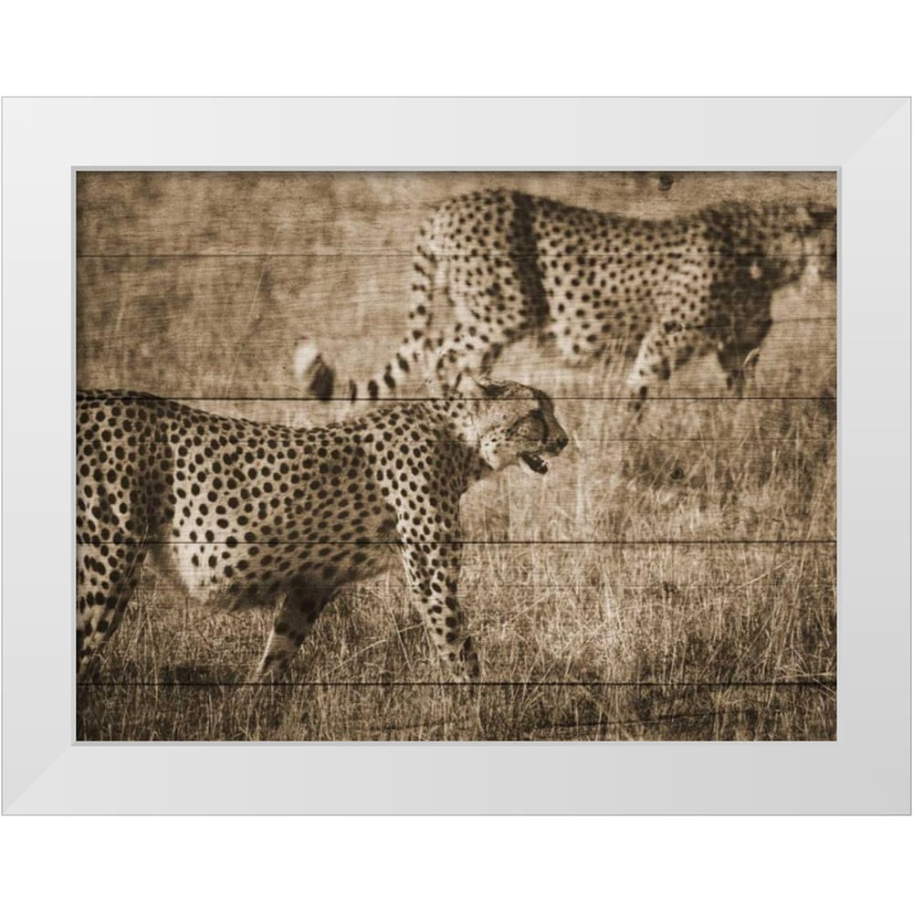 Lewis, Sheldon 14x12 White Modern Wood Framed Museum Art Print Titled ...