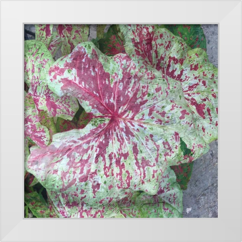 Lewis, Sheldon 15x15 White Modern Wood Framed Museum Art Print Titled ...