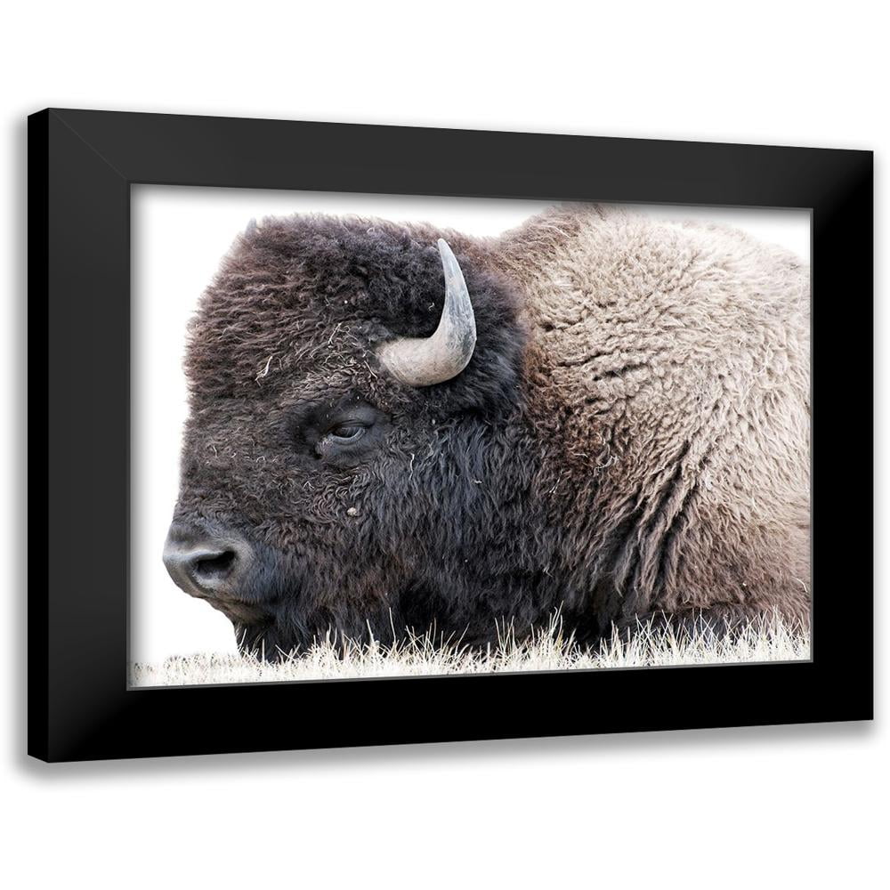 Lewis, Sheldon 18x15 Black Modern Framed Museum Art Print Titled - Baby ...