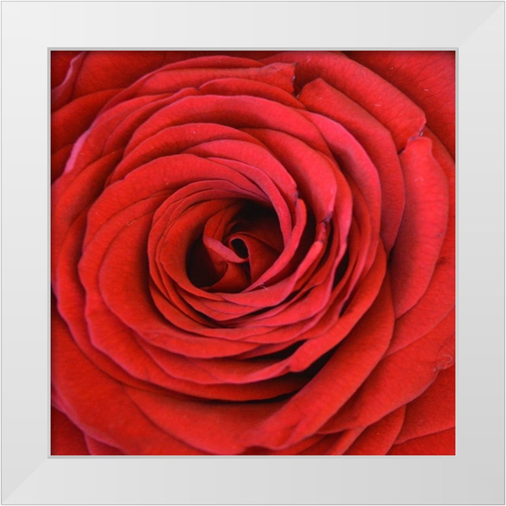 Lewis, Sheldon 20x20 White Modern Wood Framed Museum Art Print Titled ...