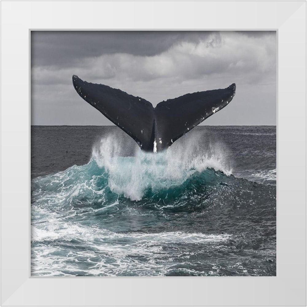 Lewis, Sheldon 20x20 White Modern Wood Framed Museum Art Print Titled ...