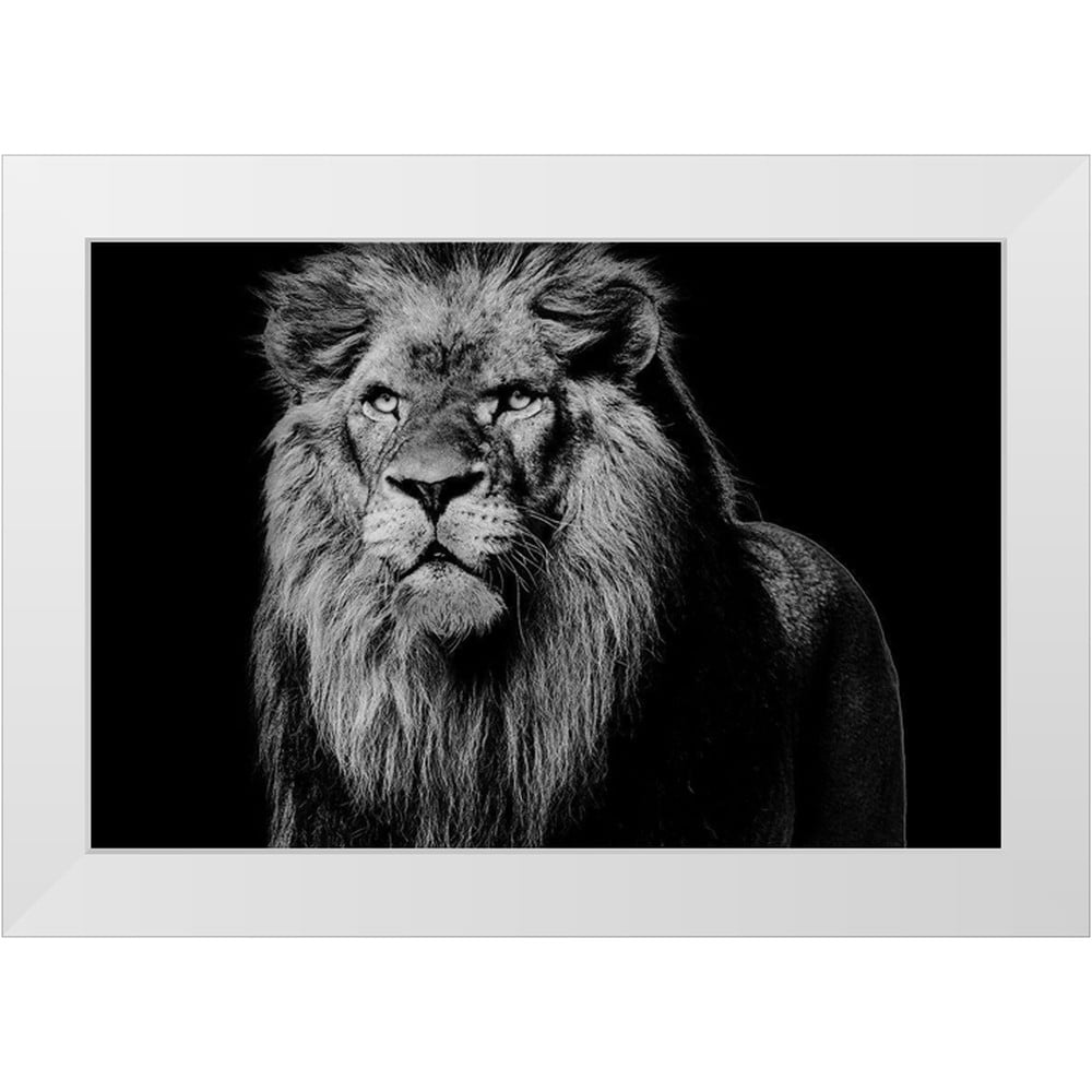 Lewis, Sheldon 24x17 White Modern Wood Framed Museum Art Print Titled ...