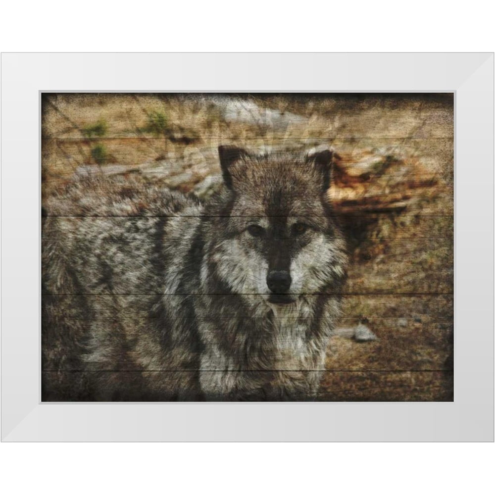 Lewis, Sheldon 24x19 White Modern Wood Framed Museum Art Print Titled ...