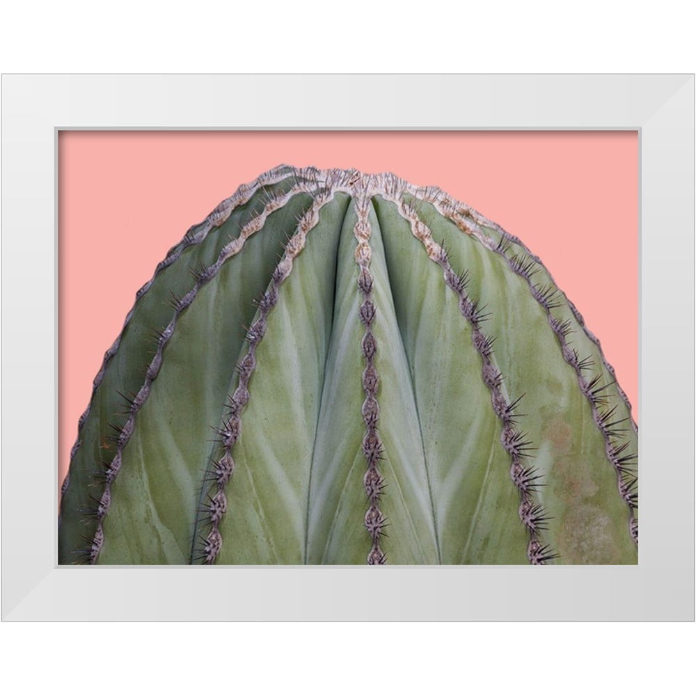 Lewis, Sheldon 24x19 White Modern Wood Framed Museum Art Print Titled ...