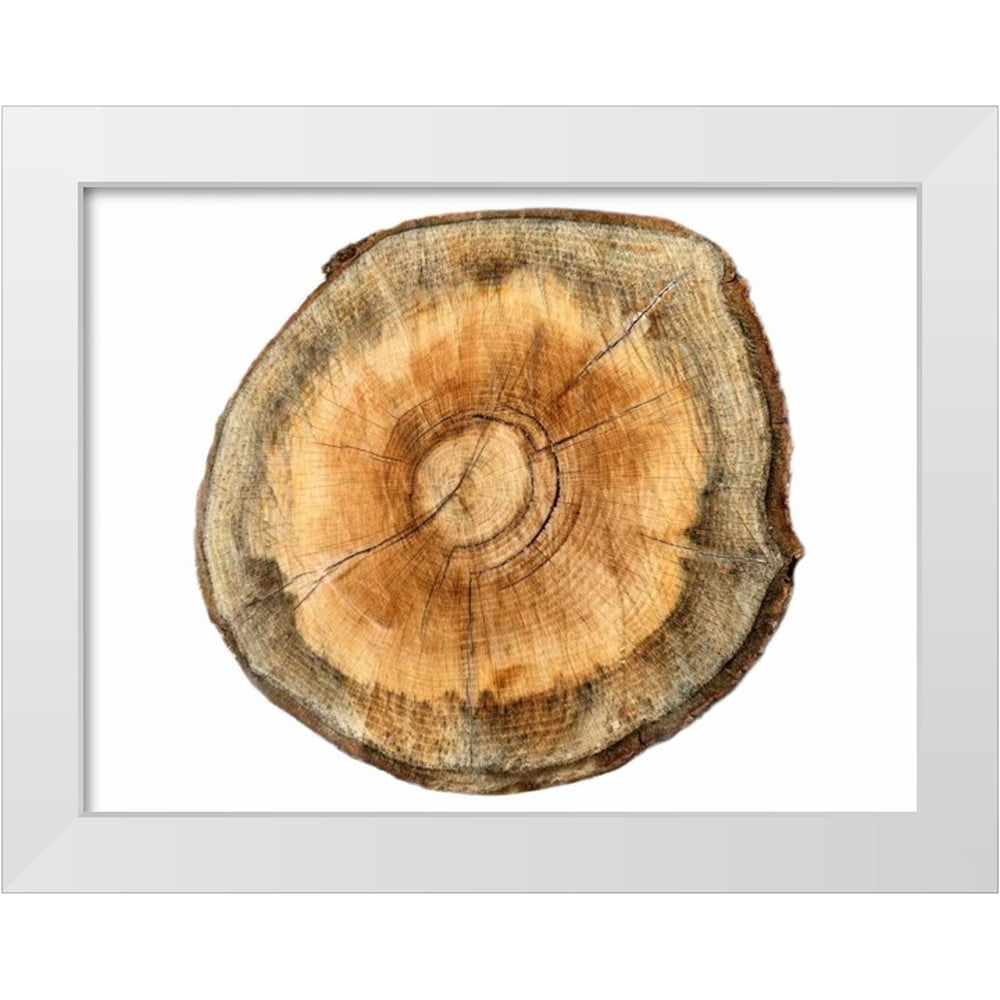 Lewis, Sheldon 24x19 White Modern Wood Framed Museum Art Print Titled ...