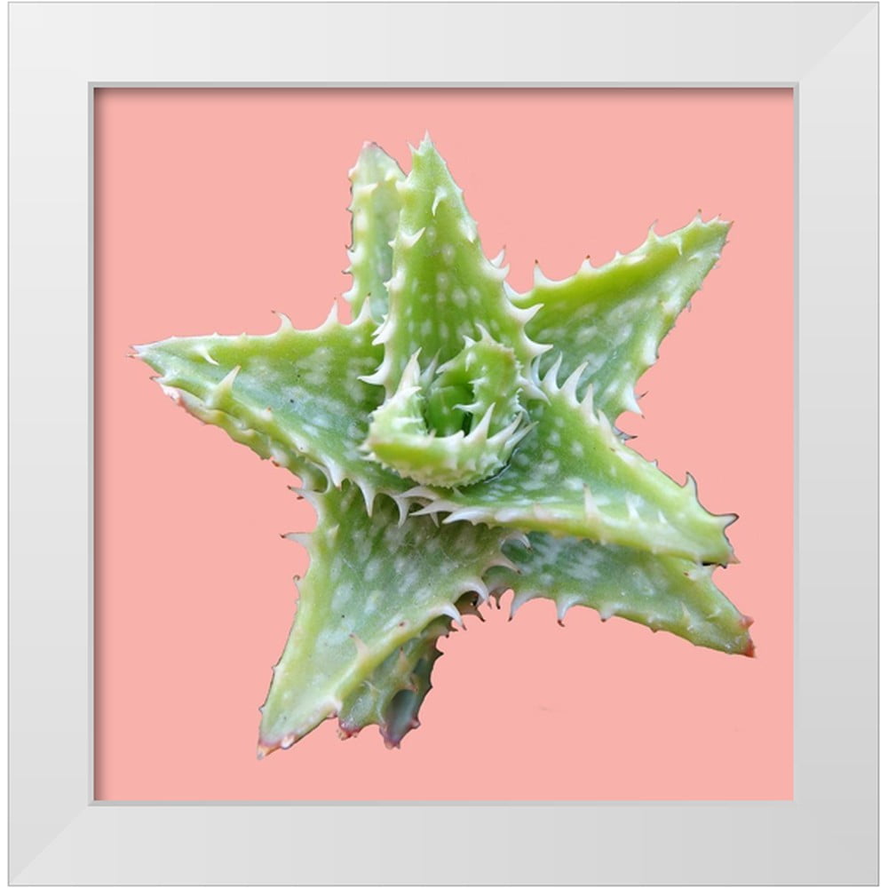 Lewis, Sheldon 26x26 White Modern Wood Framed Museum Art Print Titled ...