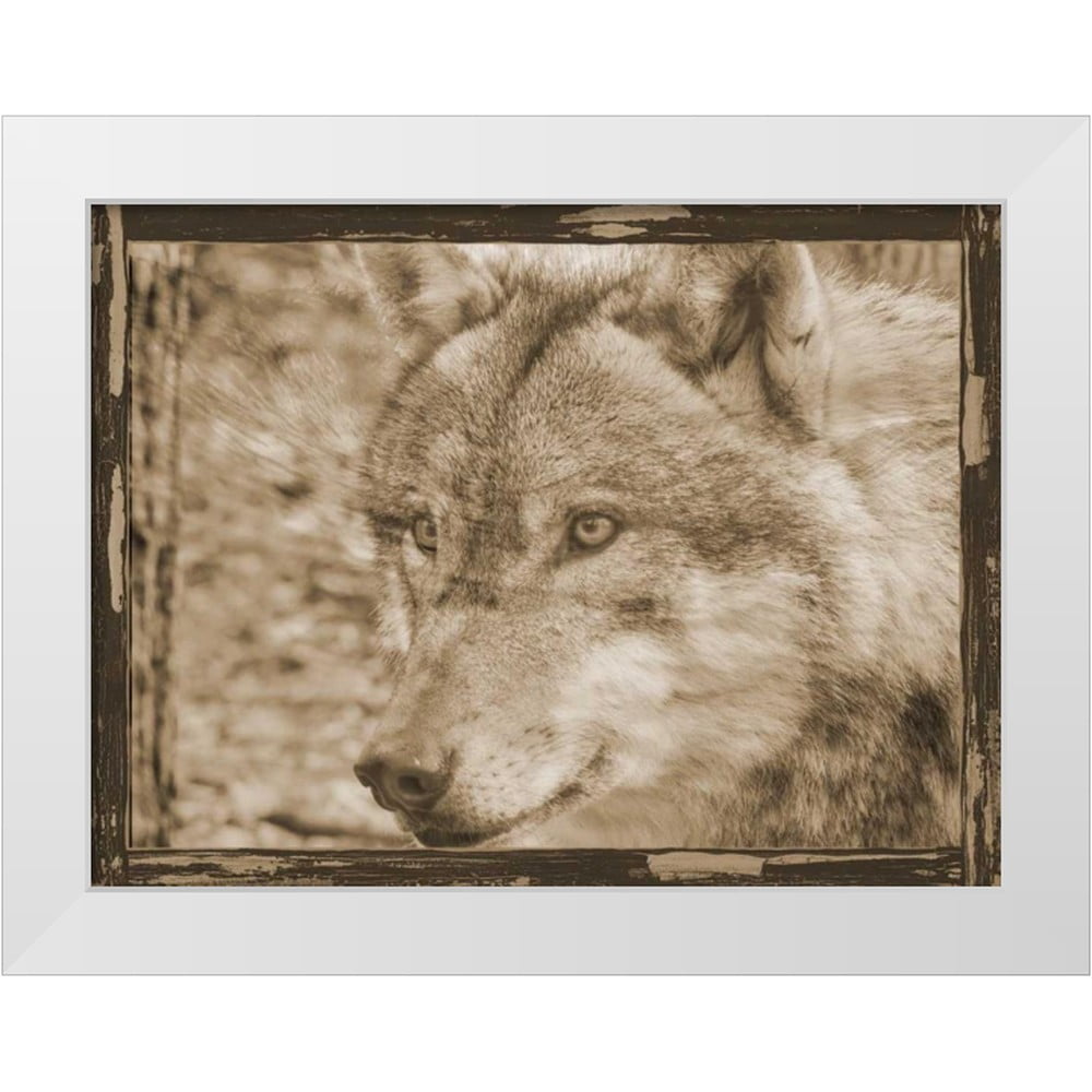 Lewis, Sheldon 32x25 White Modern Wood Framed Museum Art Print Titled ...