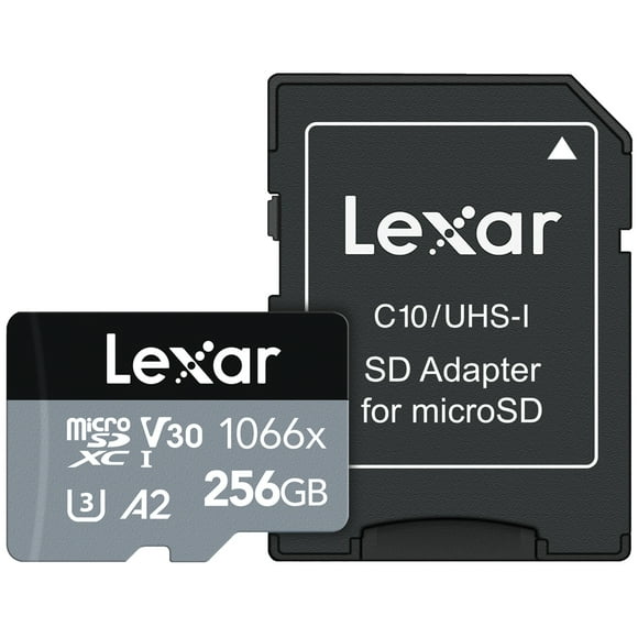256 GB Memory Cards