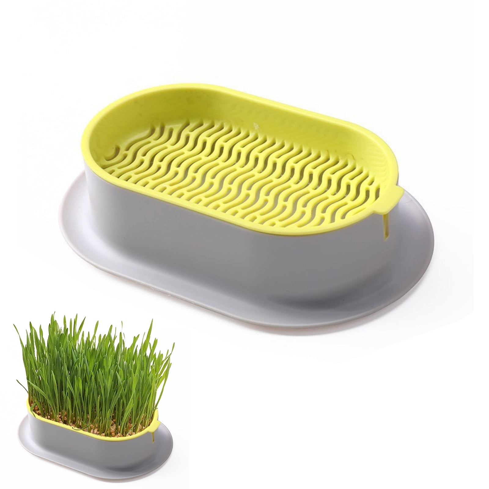 Leyfeng Cat Grass Kit, Hydroponic Cat Grass Growing Kit, Catnip ...