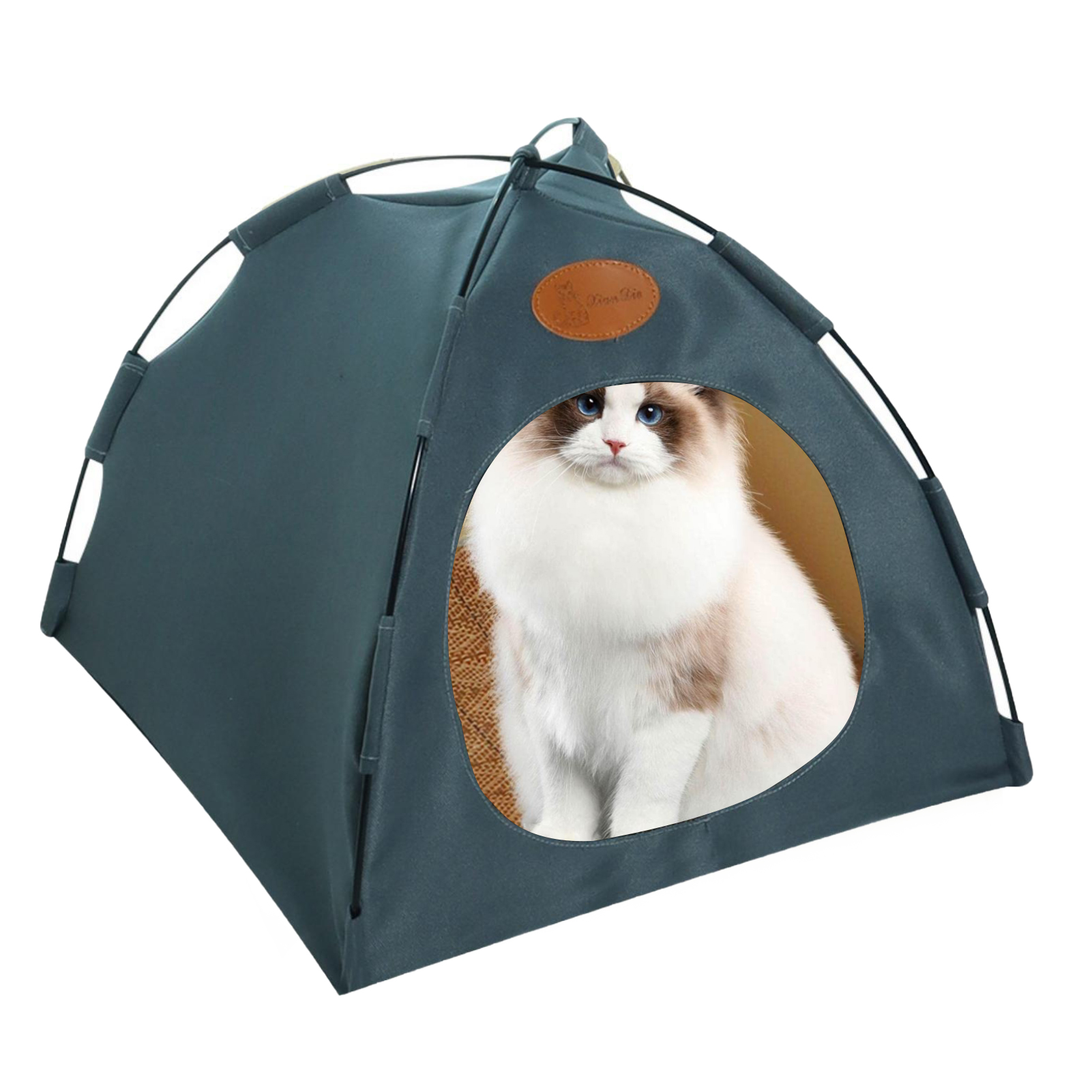 Leyfeng Tent, Cat Tents for Indoor Cats,Folding Enclosed Covered Dog ...