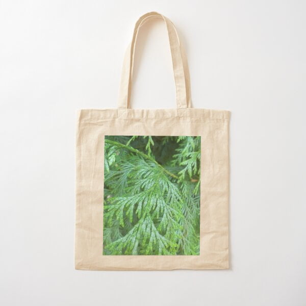 Leylandii, Leylandii Bush, Nature, Natural, Plant, Plants, Piney, Green ...