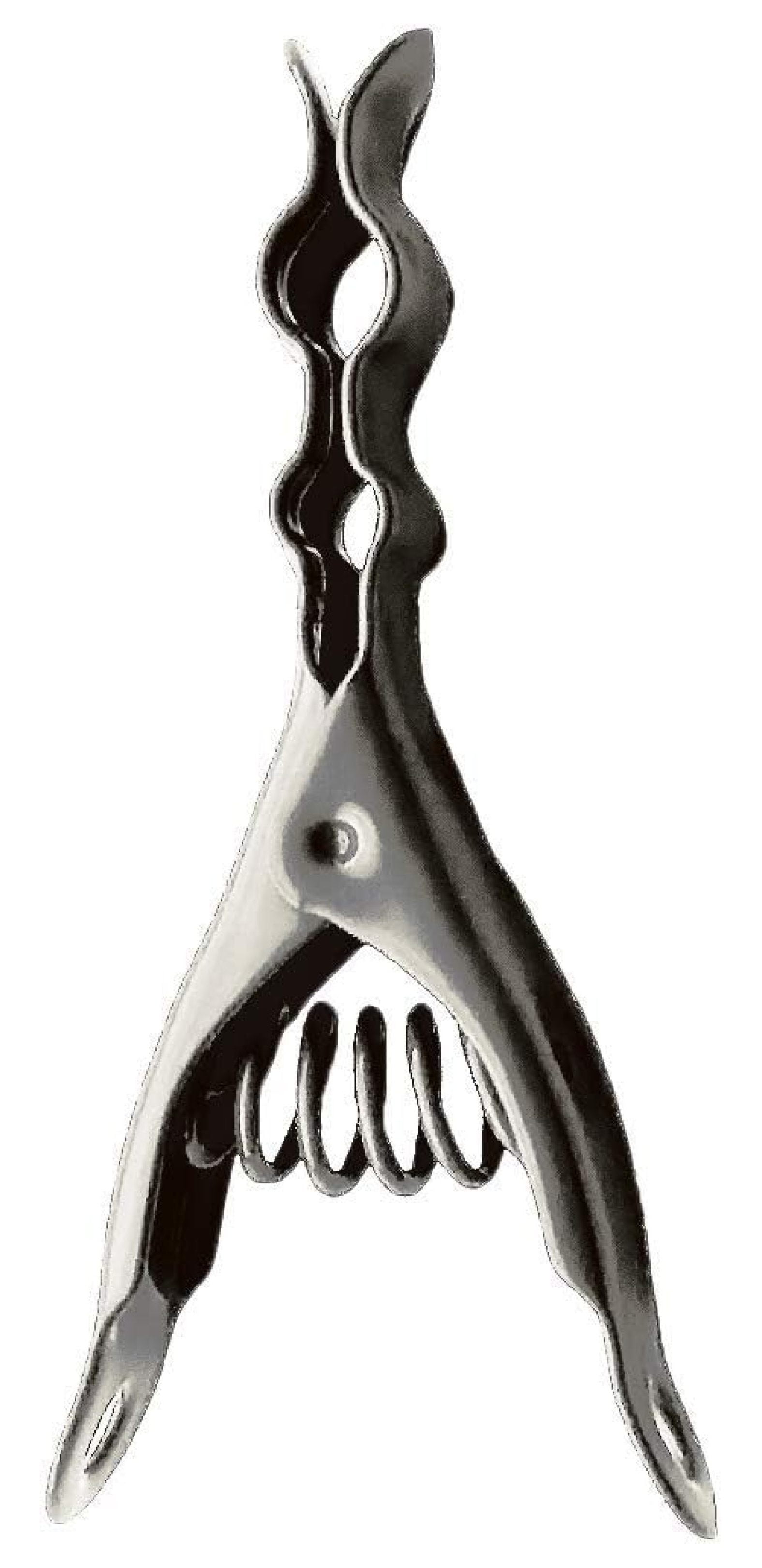 LfucQd Extreme Clothespins | Made in Italy | Solid 304 Stainless Steel ...