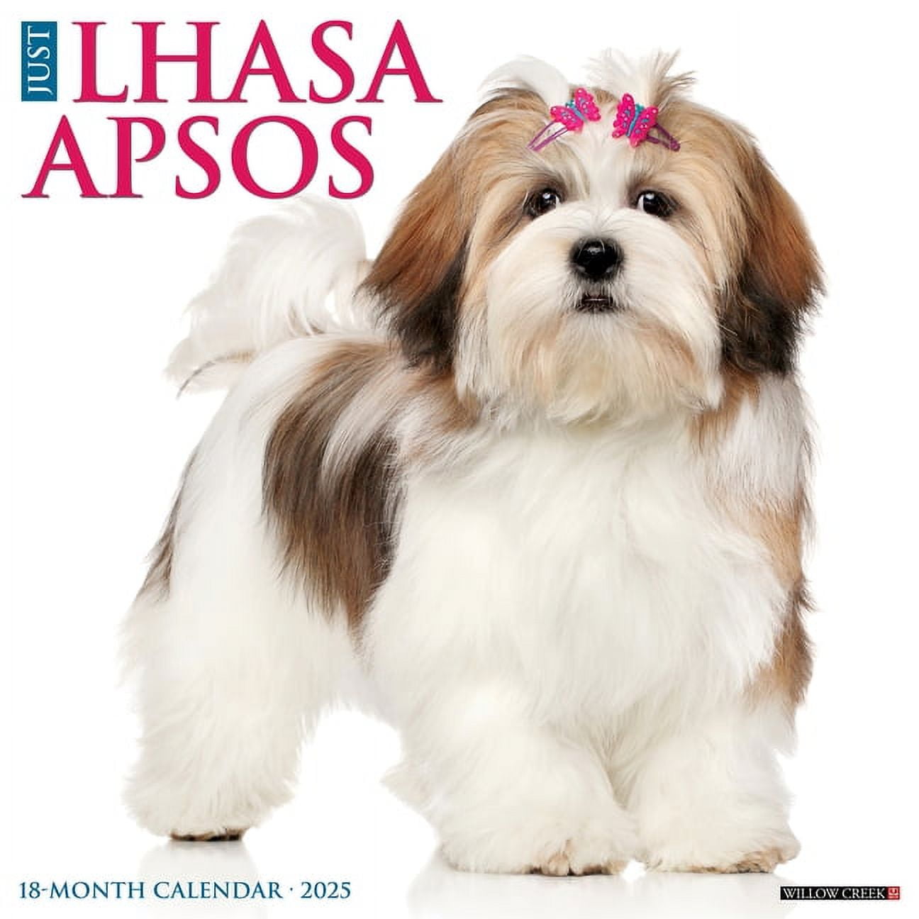 Just Lhasa Apsos 2025 12 X 12 Wall Calendar, (Paperback) - Walmart.com