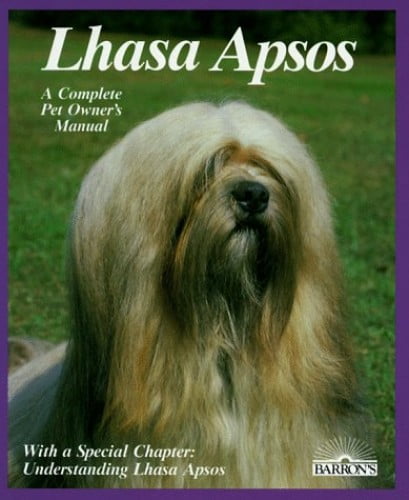 Pre-Owned Lhasa Apsos : Everything about Purchase, Care, Nutrition ...