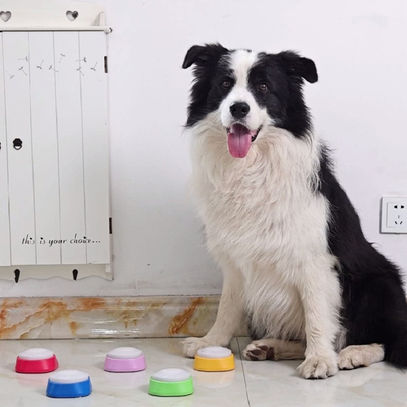 Lhujing Pet Sound Button Pet Sound Box-Record Playback Interactive ...