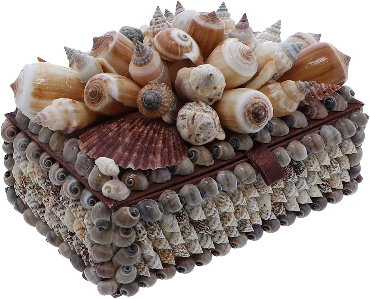 Li'Shay Treasure Box Trinket Jewelry Box with Mixed Seashells - 6 x 4 ...