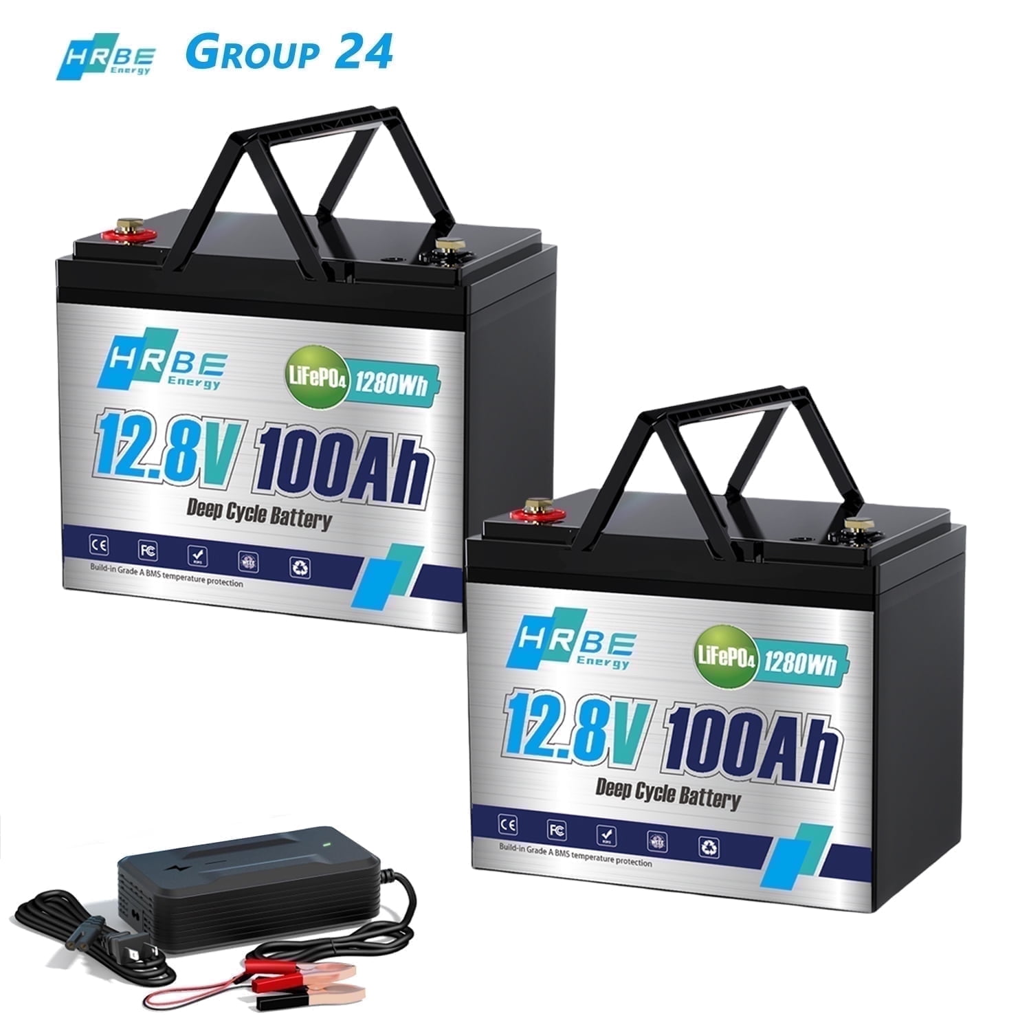 HRBEENERGY 2 Pack LiFePO4 12V 100Ah Battery with Charger, 8000+ Deep ...