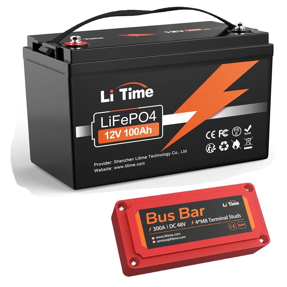 LiTime 12V 100Ah LiFePO4 Lithium Battery 100A BMS 1280Wh 10-Year ...