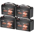 LiTime 12V 100Ah OBM LiFePO4 Battery Bluetooth Lithium Battery for ...