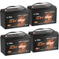 LiTime 12V 100Ah TM Bluetooth Lithium LiFePO4 Battery Low Temp Group 31 ...