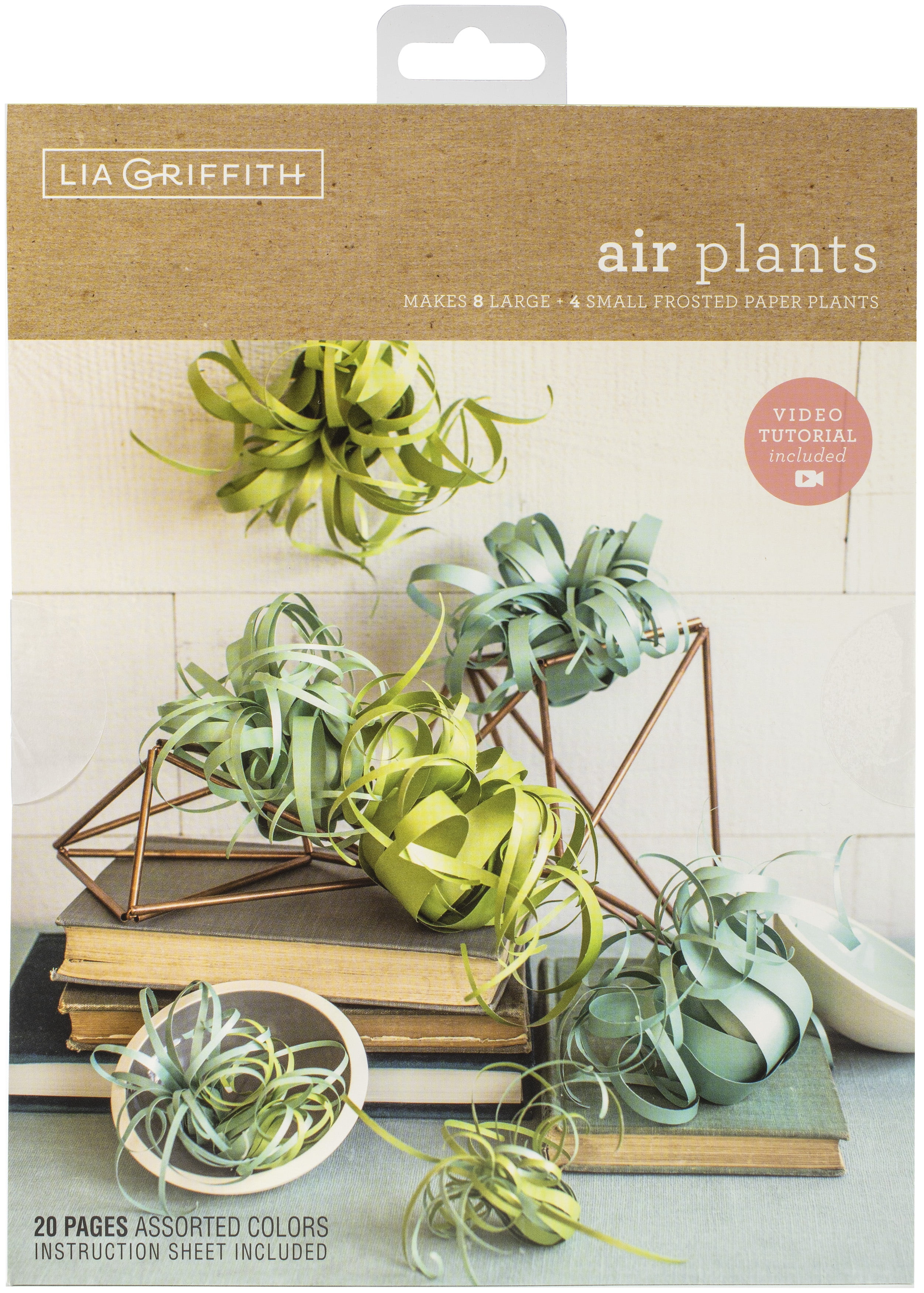 Lia Griffith Paper Stack 8.5"X11" 24/Pkg-Airplants - Walmart.com