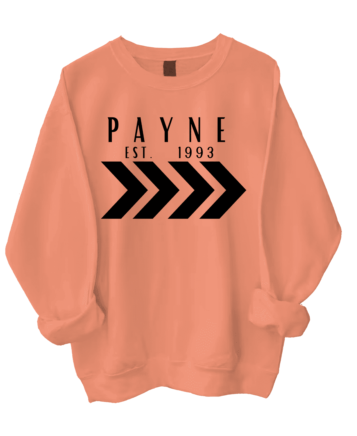 Liam Payne Tribute Sweatshirt, Liam Payne Fan Sweatshir, Rip Liam Payne ...