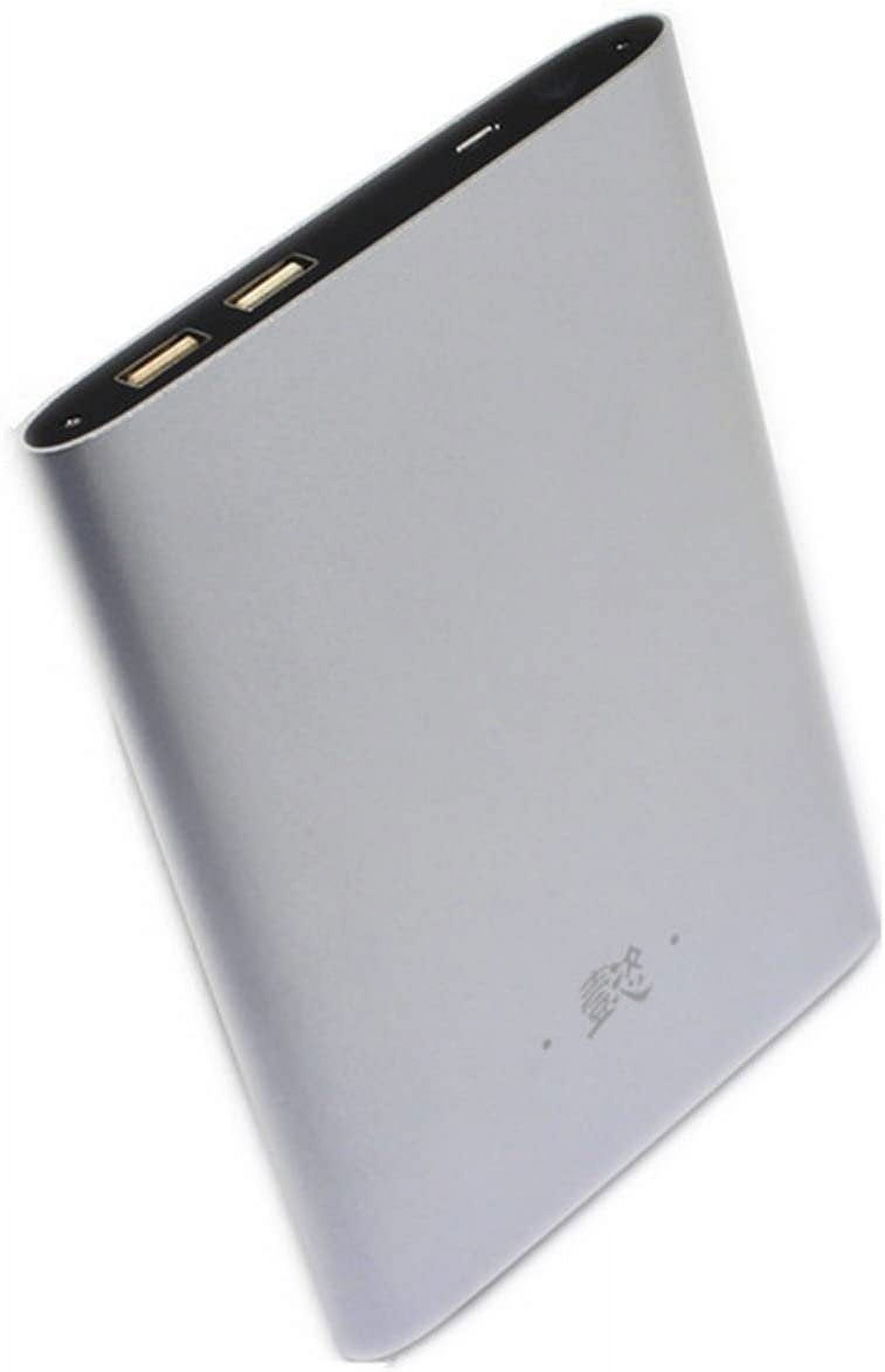 Lian LifeStyle Exceptional Portable Phone Charger w/USB Output - 10000 ...