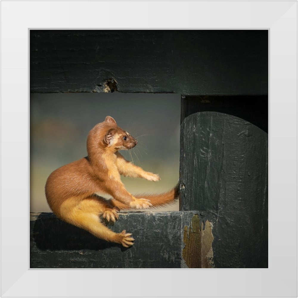 Lian, Wei 12x12 White Modern Wood Framed Museum Art Print Titled - Take ...