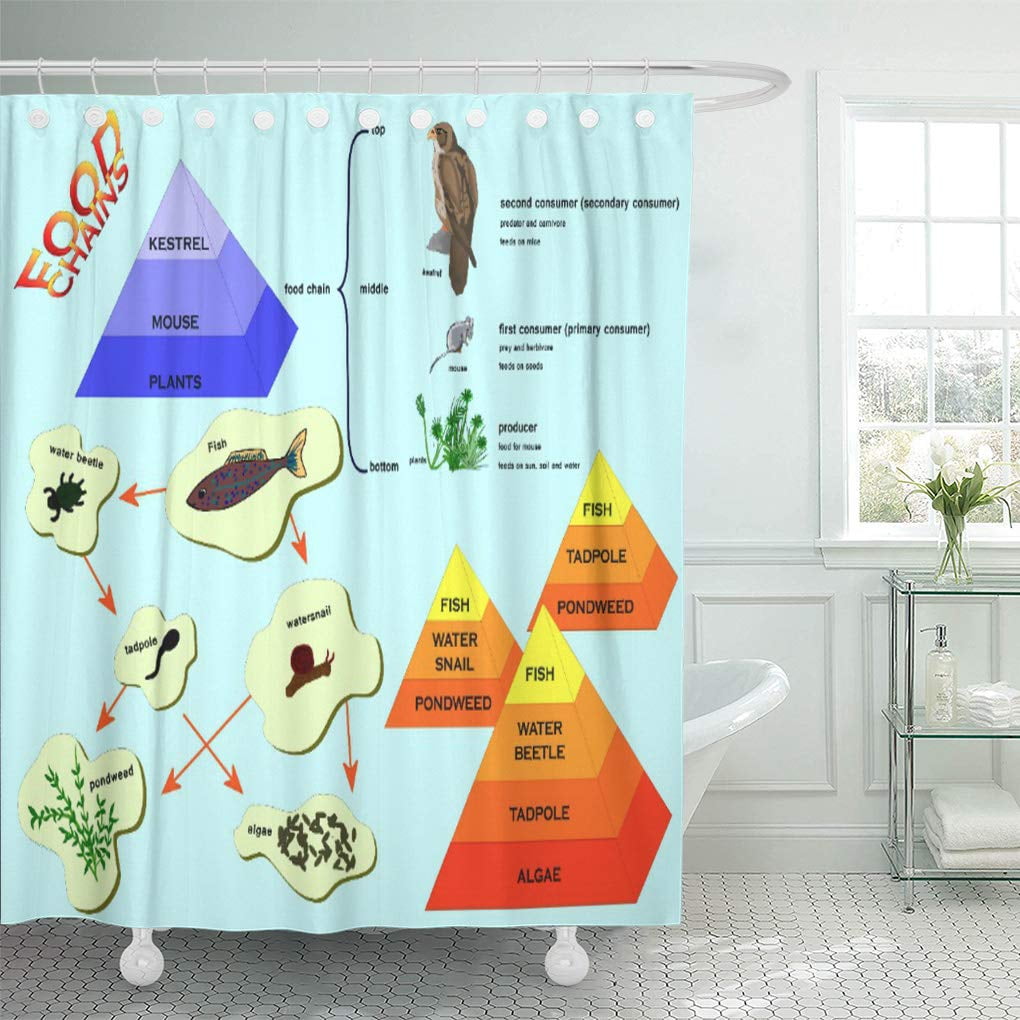 Libin Educational Education Science Food School Learn Teach Chain ...