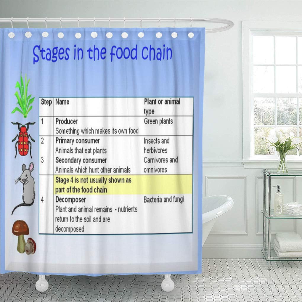 Libin Educational Science Nutrition Stages in Food Chain Resources ...
