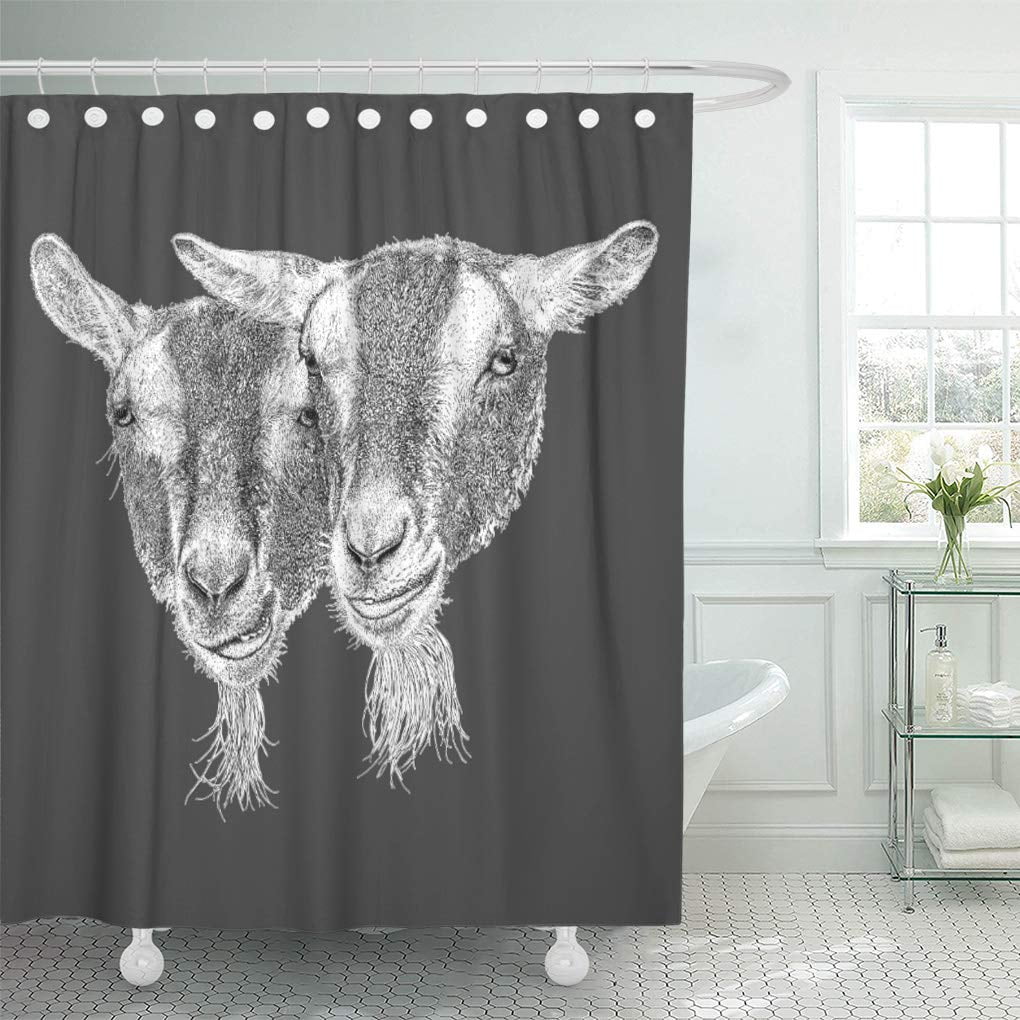 Libin Goats Black Ink Portrait Sketch Goatee Beard Farming Shower ...