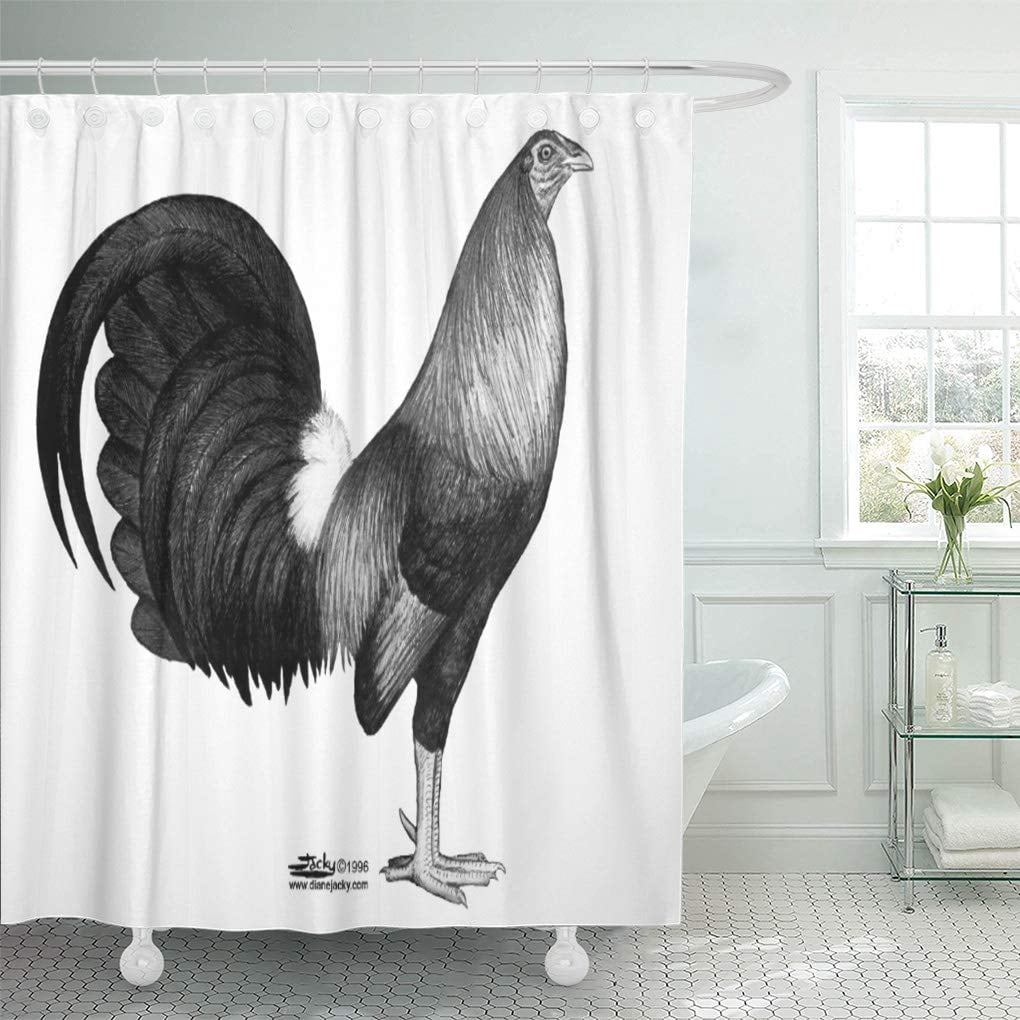Libin Rooster Gamecock Red Hatch Game Fowl Gallo Bantam Chicken Shower ...