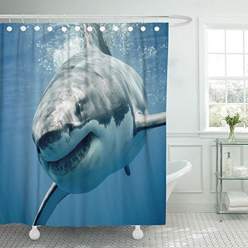 Libin Threat Great White Shark Smiling Predator Smile Sea Fear Face ...