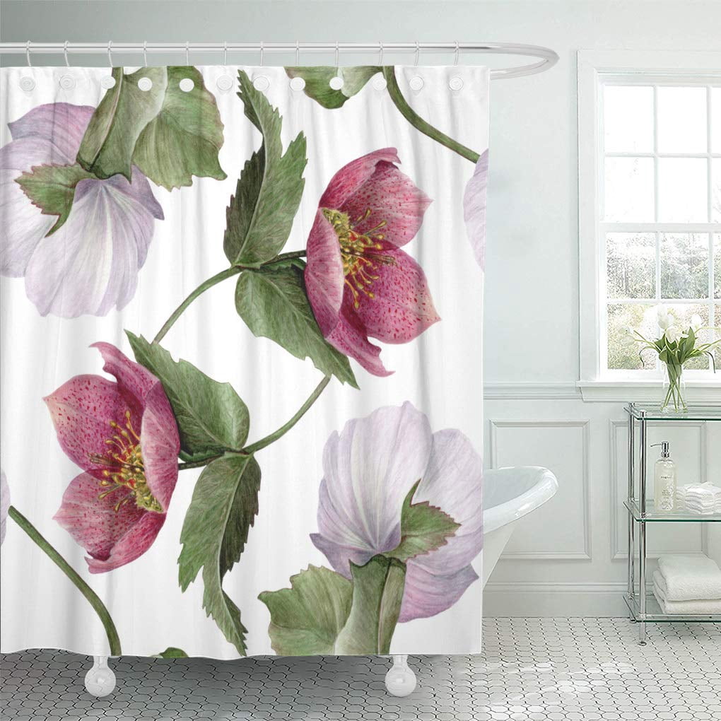 Libin Watercolor Hellebore Flower Seamless Pattern on White Background ...
