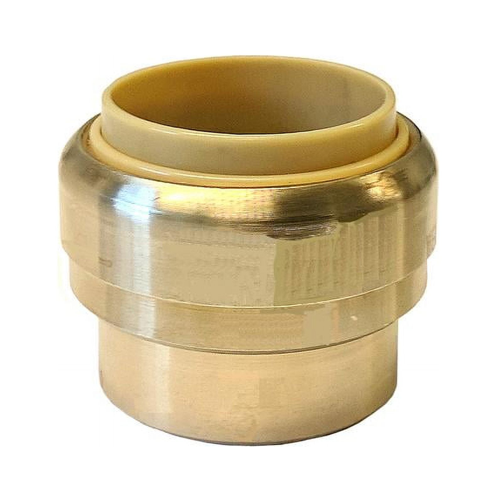 Libra Supply Lead Free 2 inch Push-Fit CAP, Push to Connect, Push x ...