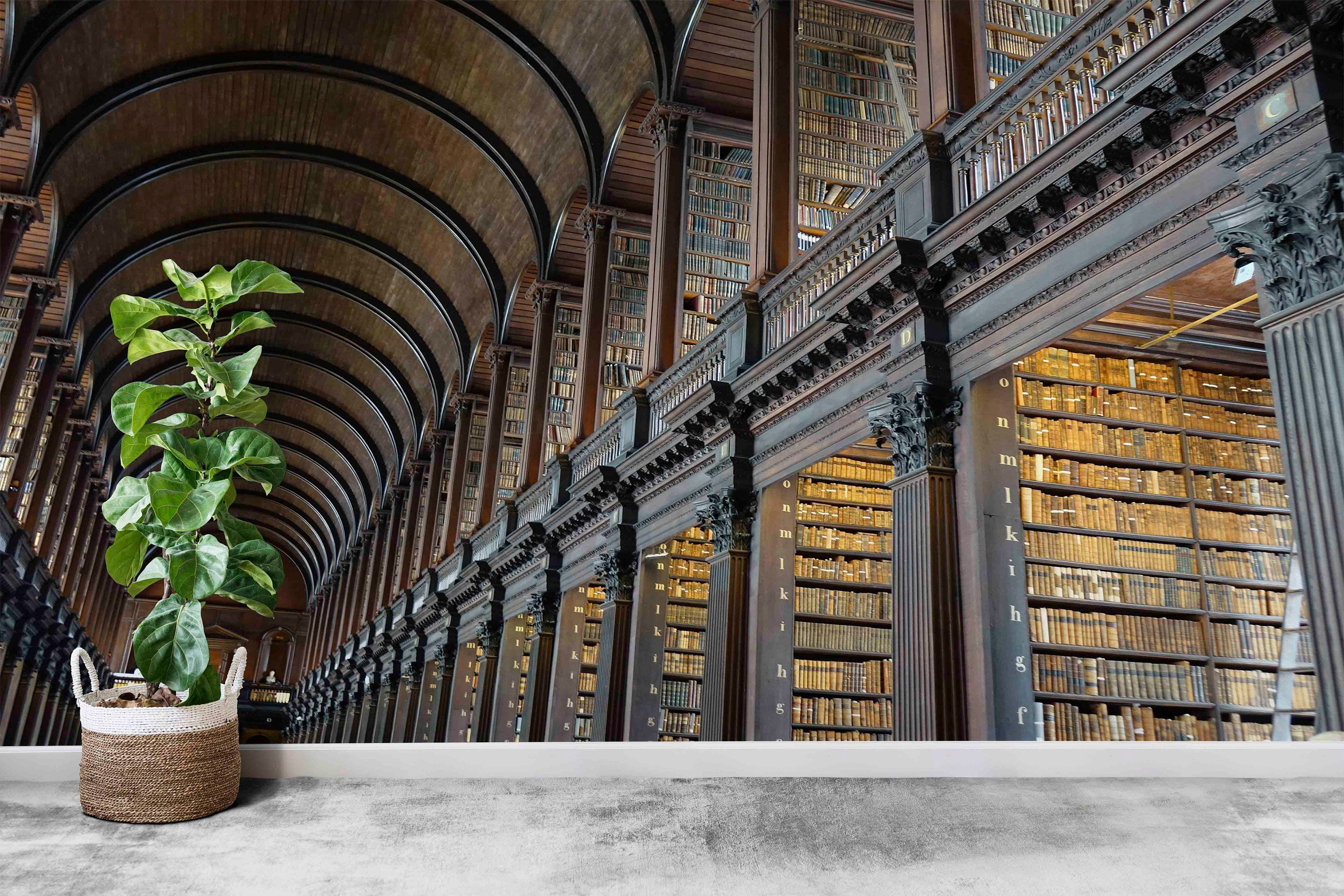 Librarian Gift Wall Painting, Wallpaper Wall Art, Bright Wallpaper ...