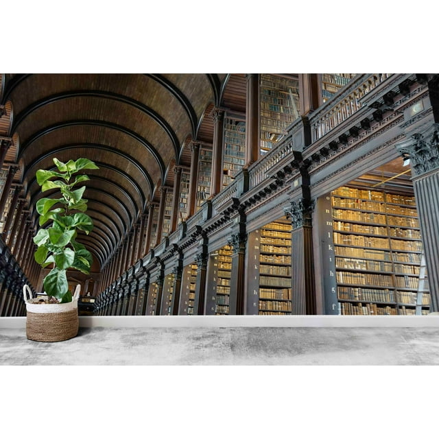 Librarian Gift Wall Painting, Wallpaper Wall Art, Bright Wallpaper ...