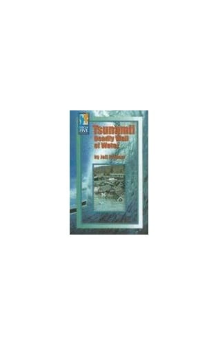 Pre-Owned Library Book: Tsunami! High Five Reading - Blue Paperback ...