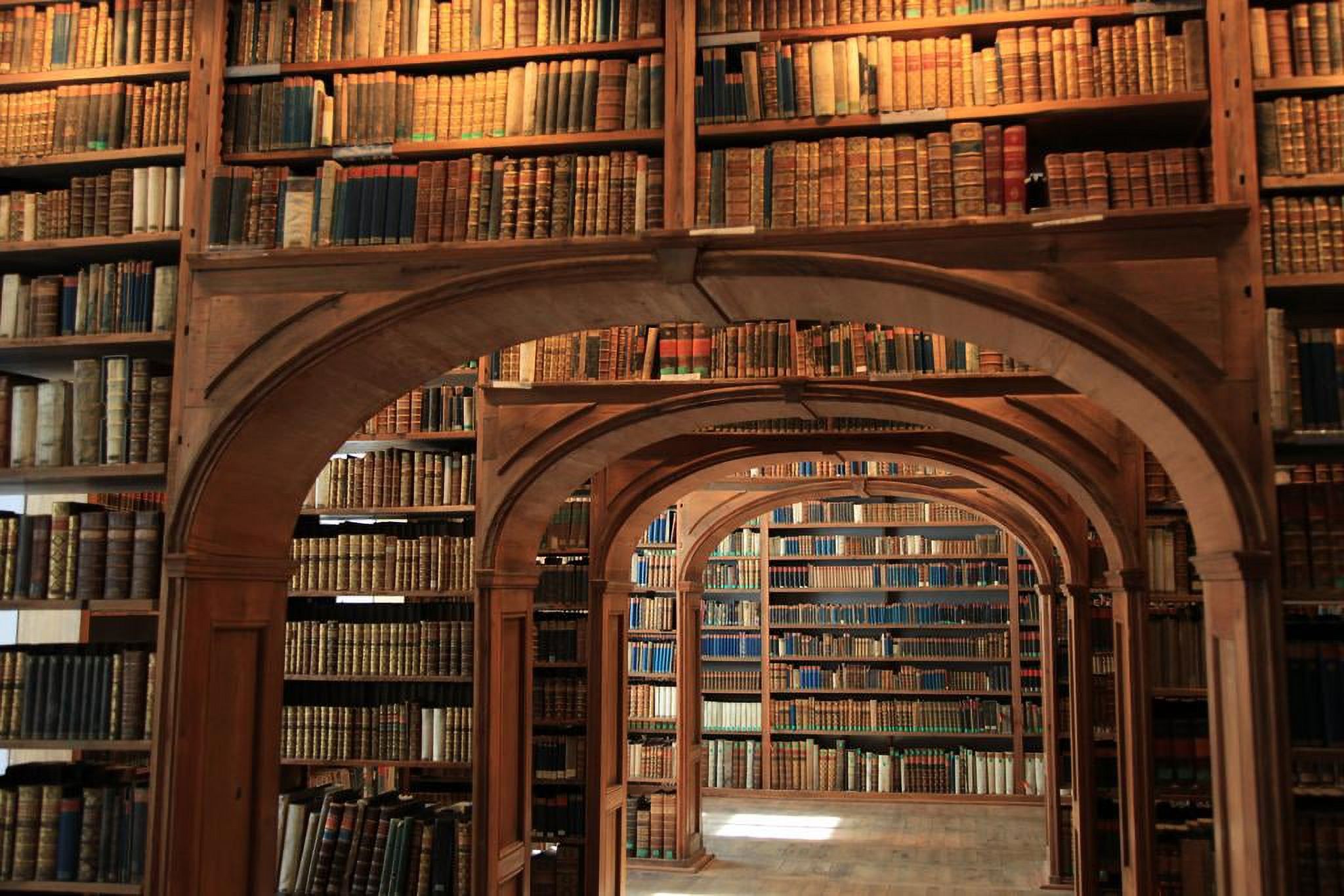 Library Reading Room Shelves of Vintage Antique Books College ...