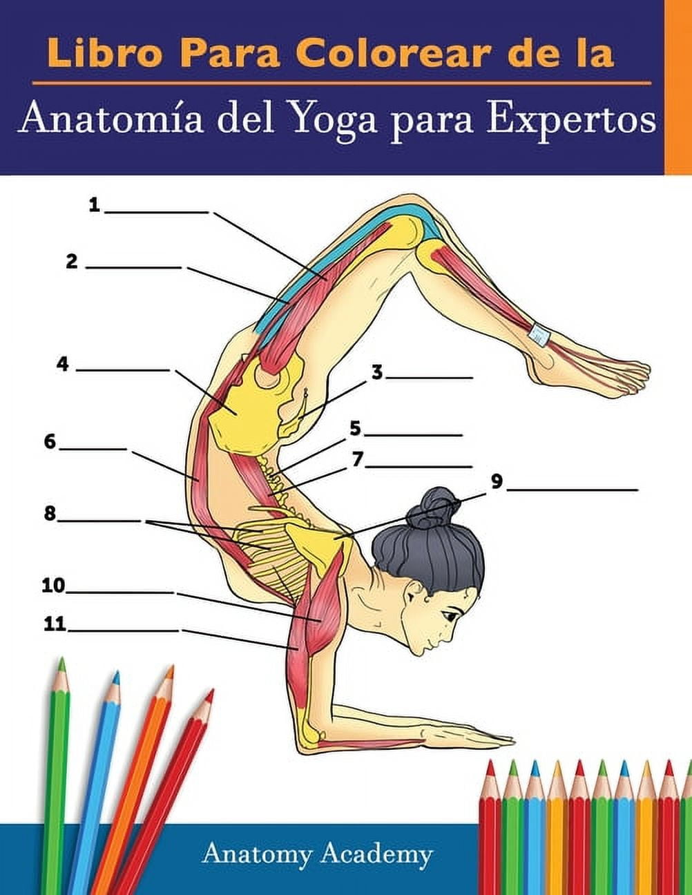 Libro Para Colorear de la Anatomía del Yoga para Expertos: 50 ...