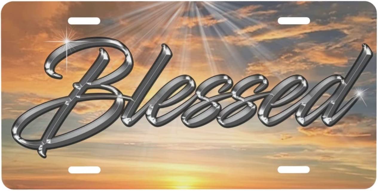 License Plate Car Front Tag,Blessed Sunshine Decorative Metal License ...