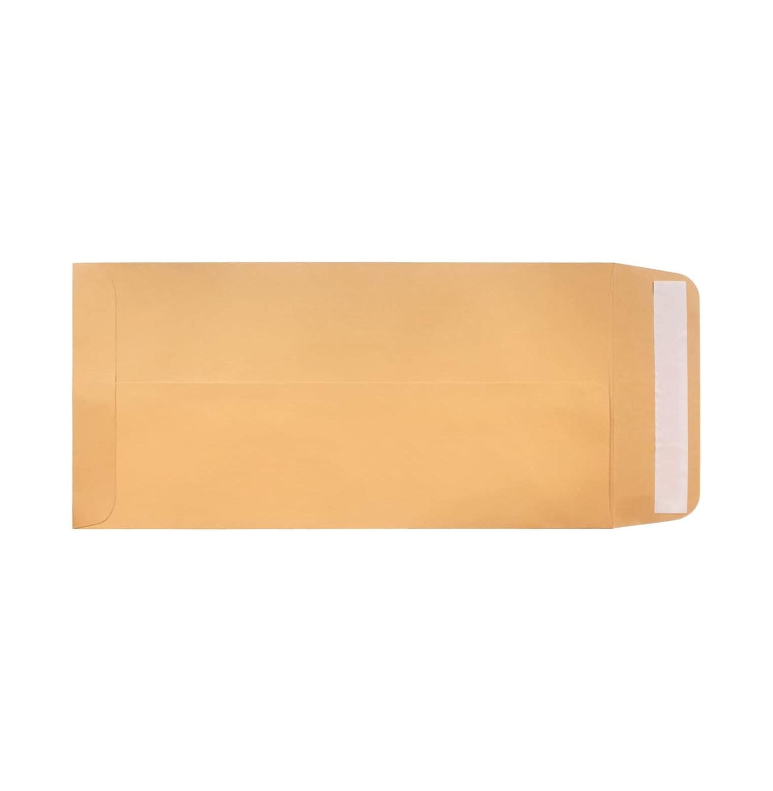 License Plate Envelopes - Self Seal - Blank (Package of 100) - Walmart.com