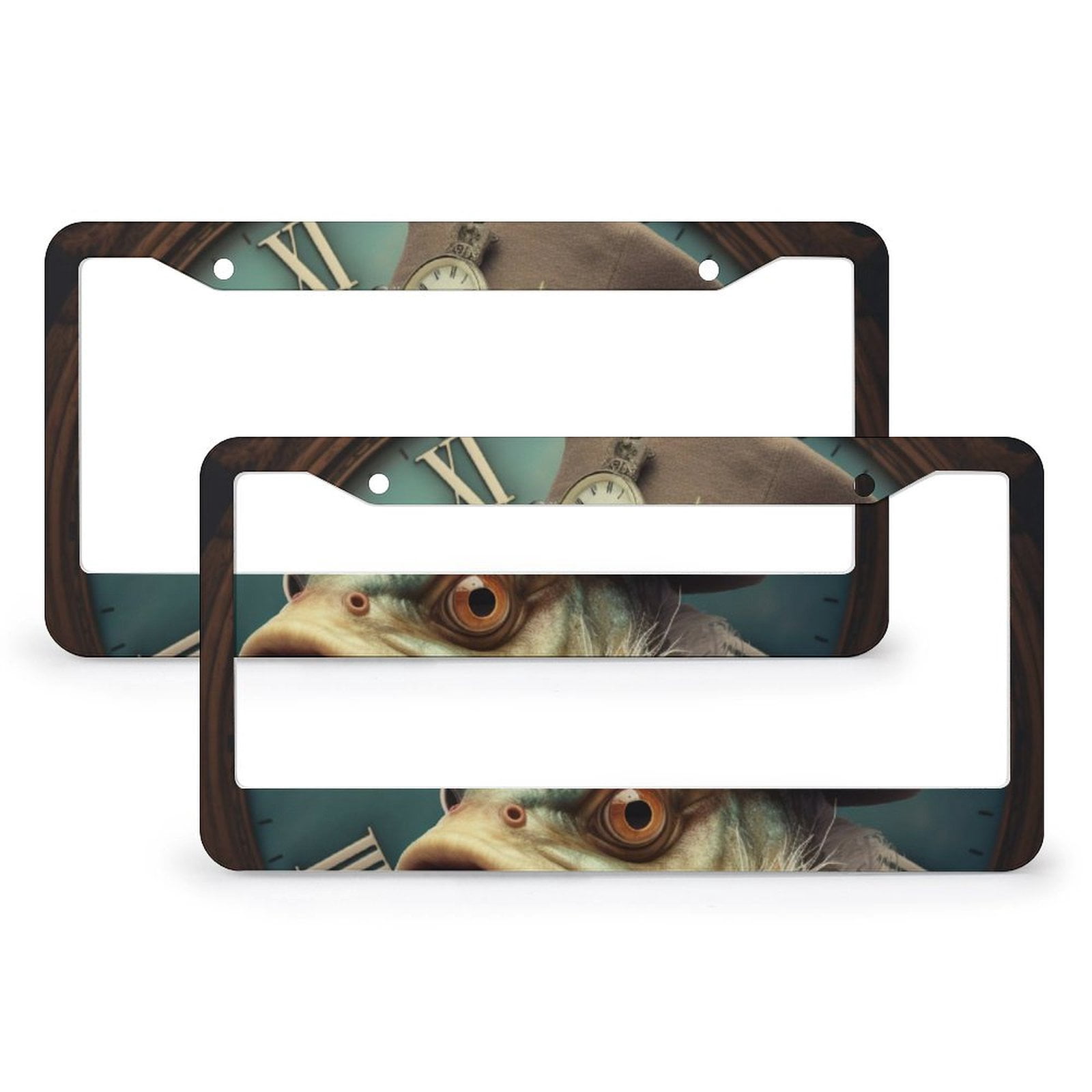 License Plate Frames Cute Fish Wearing A Hat Car Front License Plate ...