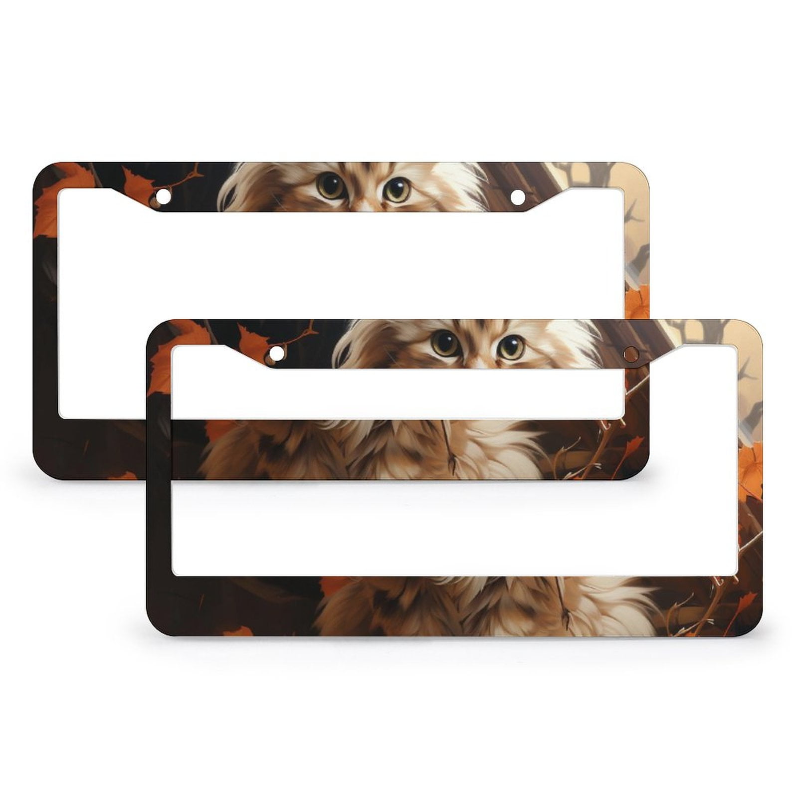 License Plate Frames Welcome Fall Cat License Plate Frame License Plate ...