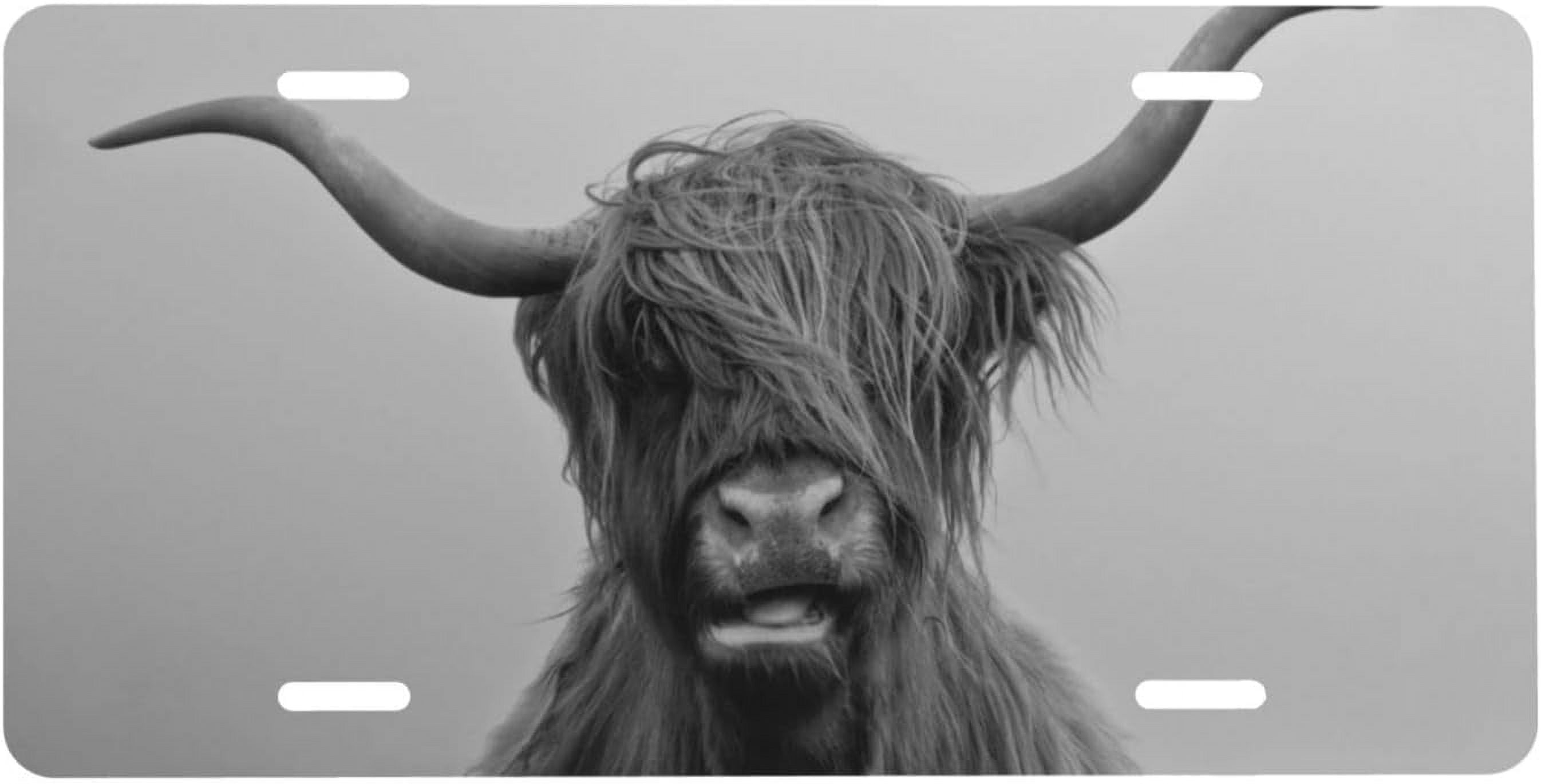 License Plate,Highland Cow Decorative Car Front,Metal Car Plate,License ...