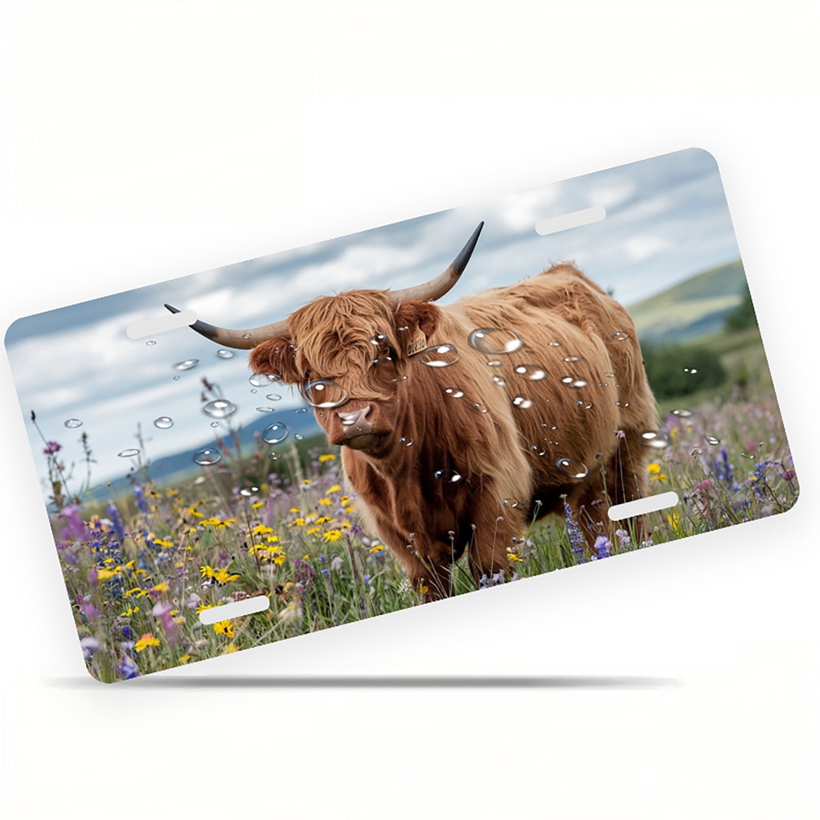 License Plate, Highland Cow in Field Decorative Front,Personalized ...